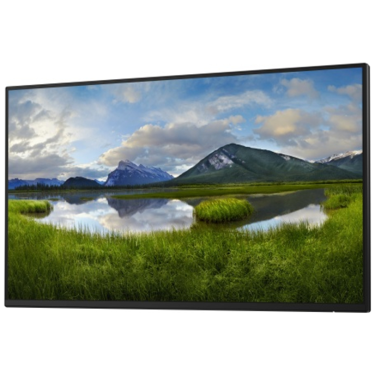 Dell Pro 24 Plus P2425HE Monitor 23.8'' IPS FHD 1920x1080 8 ms 250 cd ...